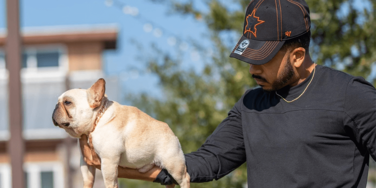 What Is Mo Shaikh, a Dog Breeder and Founder of FrenchBabyBullz, up to ...